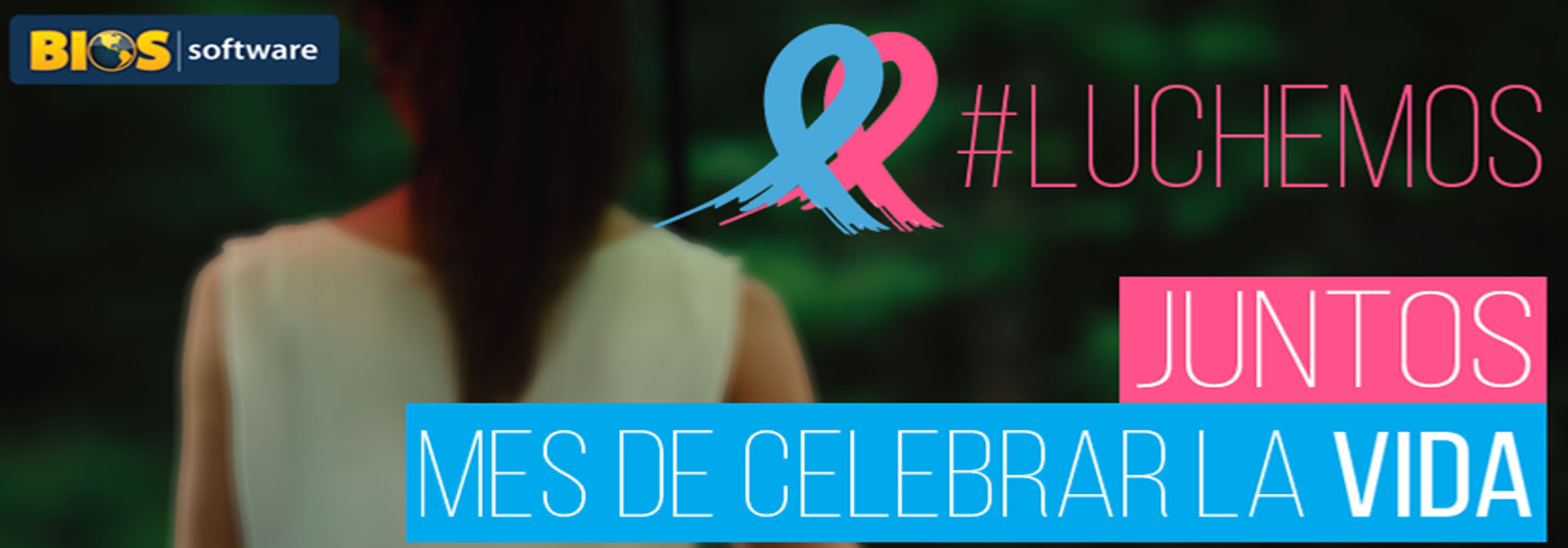 I-MEREB ::: Bios Software